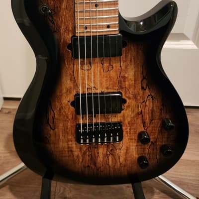 Kiesel SCB7 2020's - Spalted Maple Gloss *FINAL MARKDOWN* | Reverb