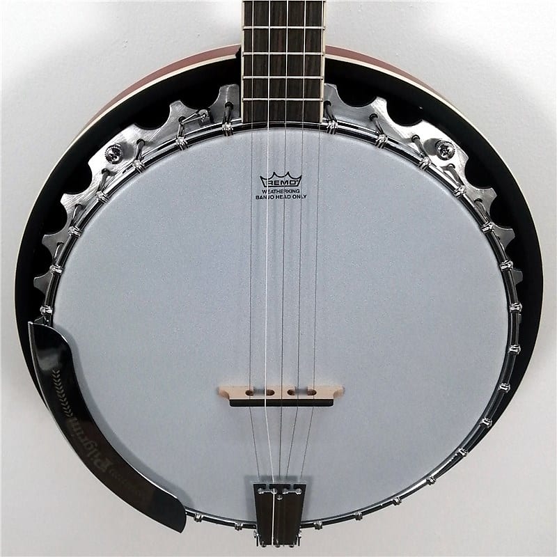 Pilgrim VPB30G Progress Closed Back G-Banjo 5 String | Reverb