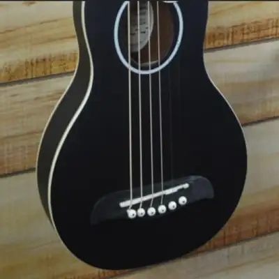 Washburn Washburn 10SBK Rover Travel Series Acoustic Guitar. | Reverb