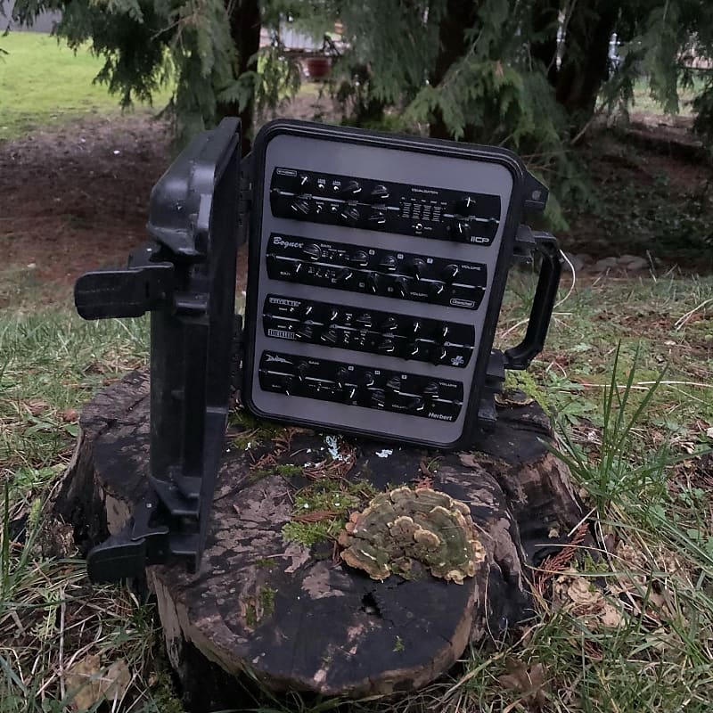 Burns Delta Model 4 Slot Case, Silver Sparkle, Synergy | Reverb