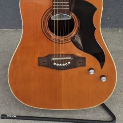 Excellent Eko Ranger 12 String ♫ c.1970 Original Italian | Reverb