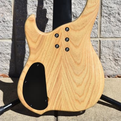 Scott Ambush Custom 5 String Bass | Reverb