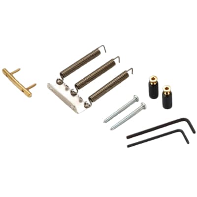 Floyd Rose 1000 Series Pro Tremolo System with R2 Nut, Gold, | Reverb