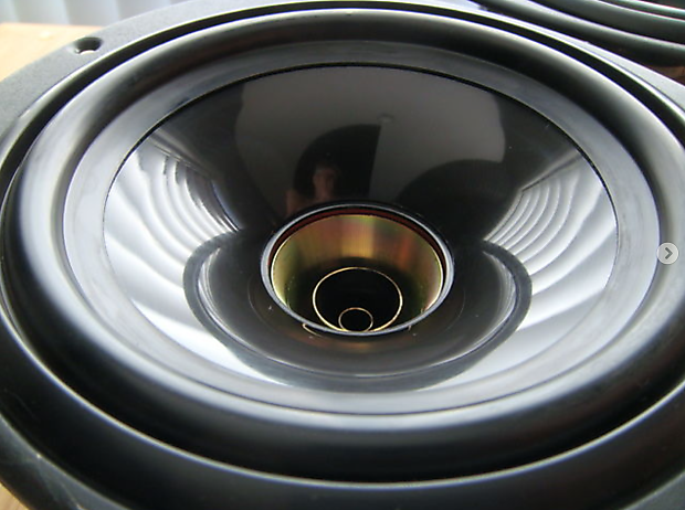 Tannoy System 600 driver Black | Reverb