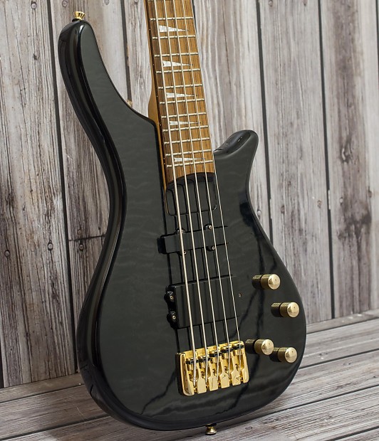 AXL Tiger Pro 5 String Bass | Reverb