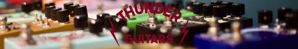 Thunder Guitars | Reverb Canada