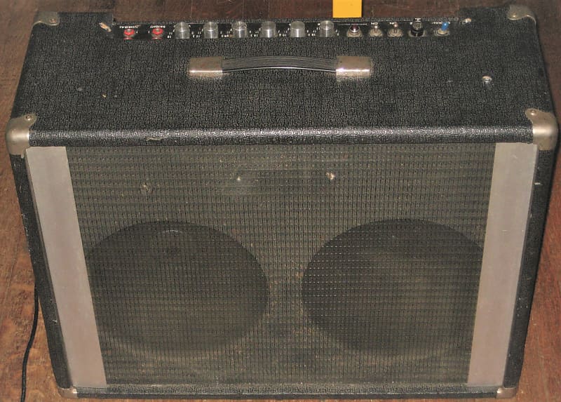 Earth Sound Research Pro Serviced 2x12 Hybrid Combo Amplifier | Reverb