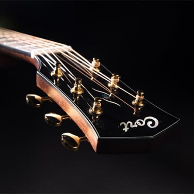 Cort Gold Series A6 Auditorium w/ Fishman Flex Blend | Reverb