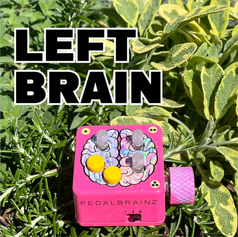 Pedal Brainz Left Brain - Expression Modulator | Reverb