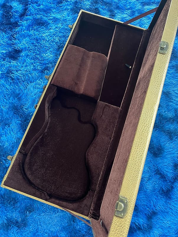 Nash Jazzmaster Alligator Hard Case - Gold | Reverb