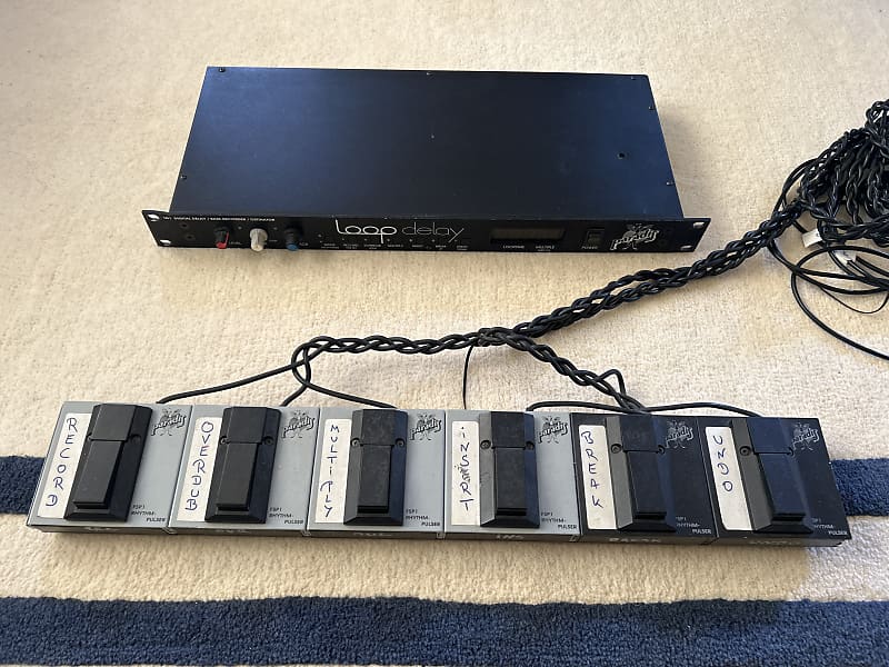 Paradis Loop Delay with foot pedals very rare | Reverb