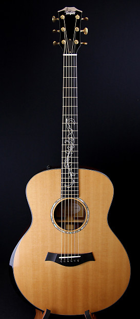Taylor GS Mahogany LTD Fall 2010 Acoustic Guitar With Case | Reverb