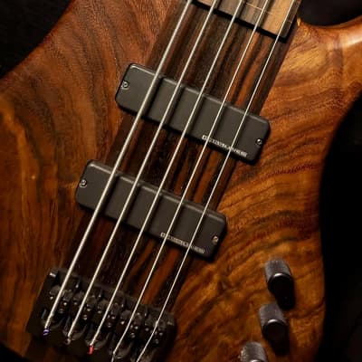 Wal MK2 2021 Flame Walnut 5 string bass guitar | Reverb