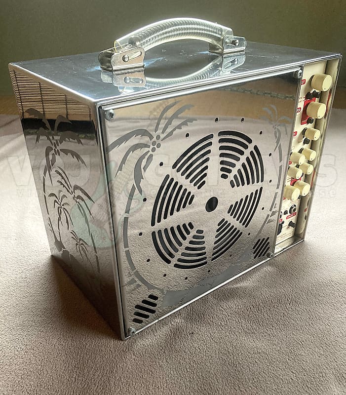 ASHDOWN AAR-1 CHROME 'RESONATOR' ACOUSTIC COMBO *VERY RARE* | Reverb