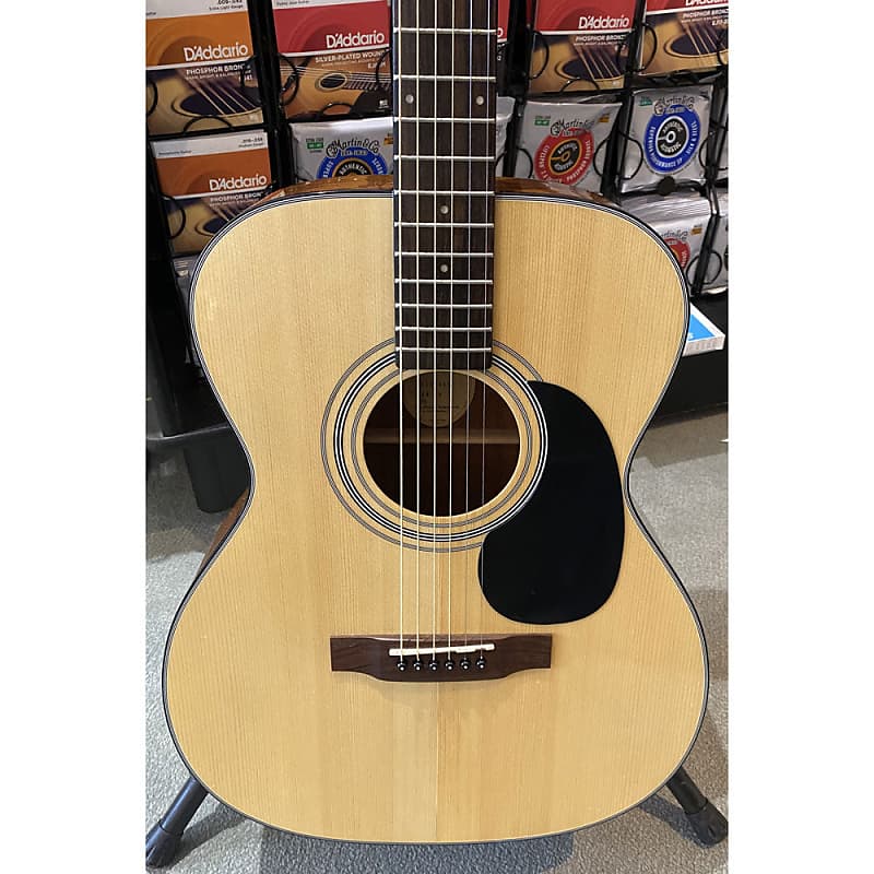 Bristol by Blueridge BM-16 (Pre-Owned) w/bag | Reverb