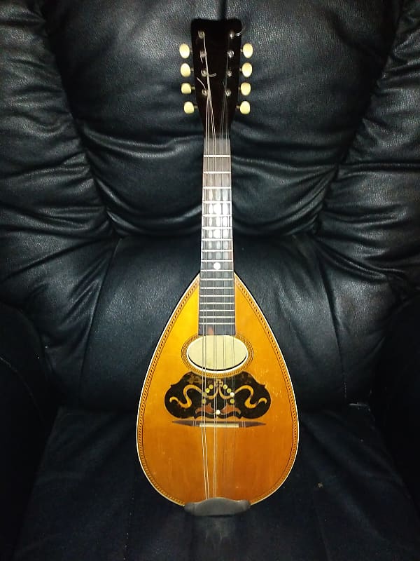 Ditson Company, Boston "The Conquest Mandolin" 1906 wood | Reverb