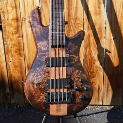 Spector NS Ethos 5 | Reverb