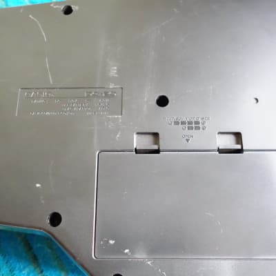 Casio DG-20 Digital Guitar Synth Gray | Reverb Canada