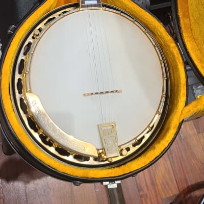 Dorado 5 String Resonator Banjo with hard case | Reverb