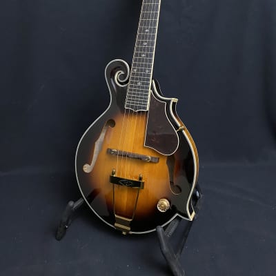 Gold Tone F-6+ Mando-Guitar 6-String Mandolin w/pickup, | Reverb