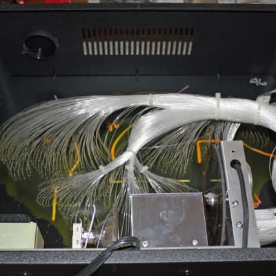 Fender Strings Fiber Optic Display 1999 Black | Reverb