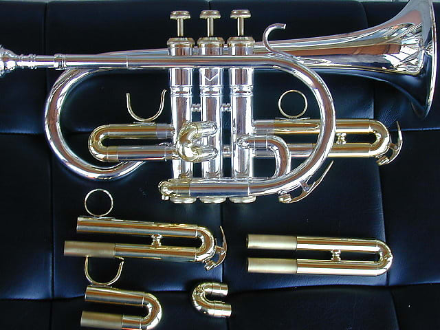 Berkeley Bb &C British Large Cornet 2set tuning Pipe | Reverb