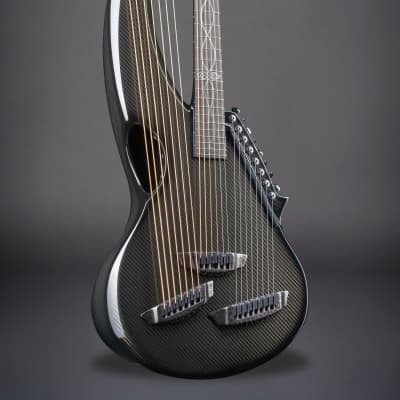 Synergy X20 | Carbon Fiber Harp guitar | Reverb