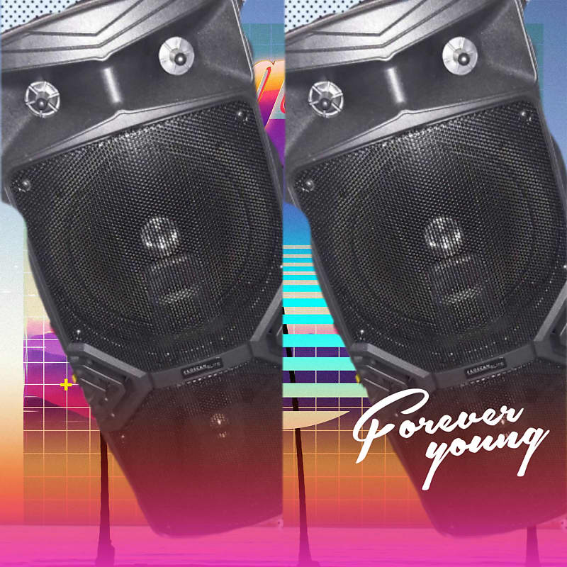 PRO SOUND Prosound 3000 | Reverb