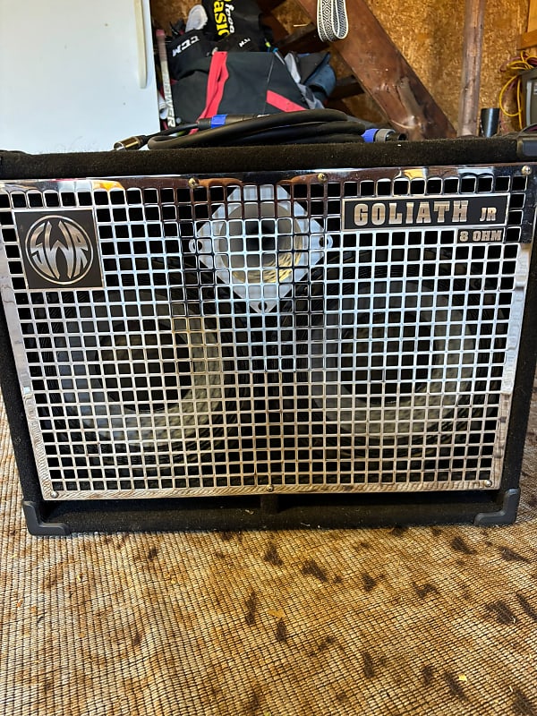 SWR Goliath Junior IV 2X10 Bass Speaker Cabinet | Reverb Canada