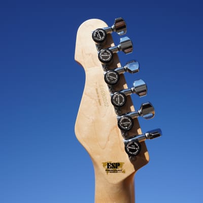 ESP Custom Shop Snapper AS-BR Driftwood Indigo Purple w/Blue | Reverb