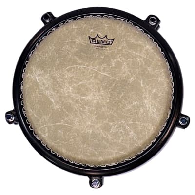 LP Latin Percussion Congas Compact 11" LP825 | Reverb Australia