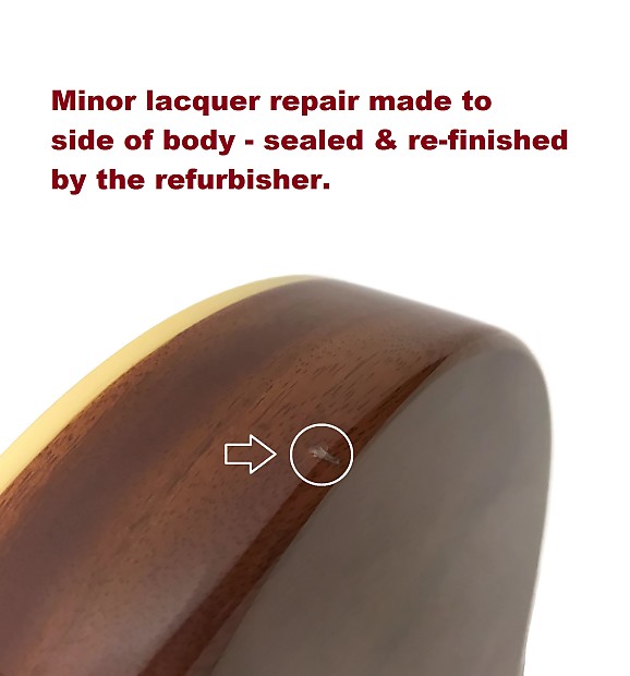 Samick Greg Bennett Design Avion AV3 LTD Gold Top Electric | Reverb