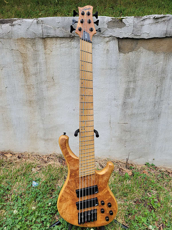Legator Helio 300-Pro Fanned-Fret 6 String w/ Darkglass | Reverb
