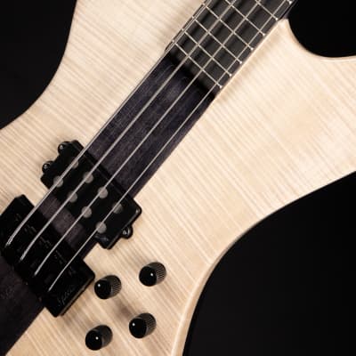 Spector NS-2X 4 String Neck Thru - Black & White | Reverb