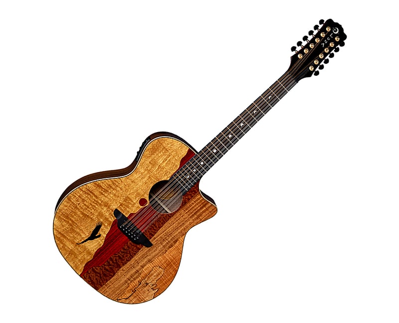 Luna Vista Eagle 12-String Acoustic/Electric Guitar | Reverb