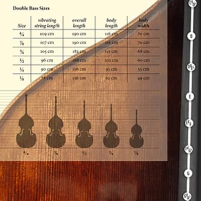 Double Bass Fingerboard Chart and Cheat Sheet (folded, 6 | Reverb