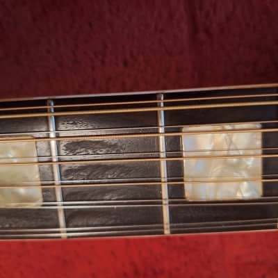 Ventura Bruno V-17 12 String Acoustic Dreadnought Guitar | Reverb