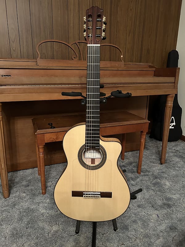 Cordoba 55FCE Thin body Nylon String Acoustic Electric Guitar | Reverb