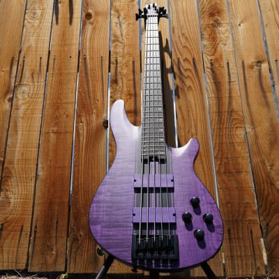 Schecter DIAMOND SERIES C-5 GT Satin Trans Purple 5-String | Reverb