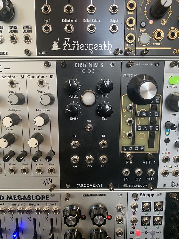 Recovery Effects Dirty Murals Eurorack Delay/Reverb Module | Reverb UK