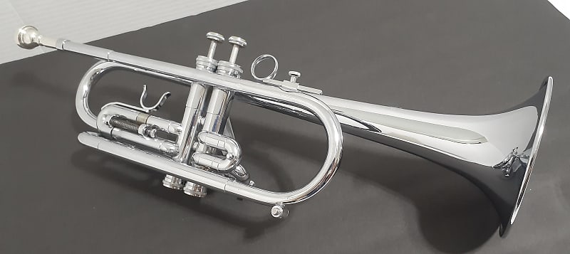 DEG Dynasty , 2 valve G Bugle/Trumpet,2 Mouthpieces and | Reverb