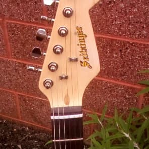 Seitzinger Artist Series 2016 Custom Finish Hand Splatter | Reverb