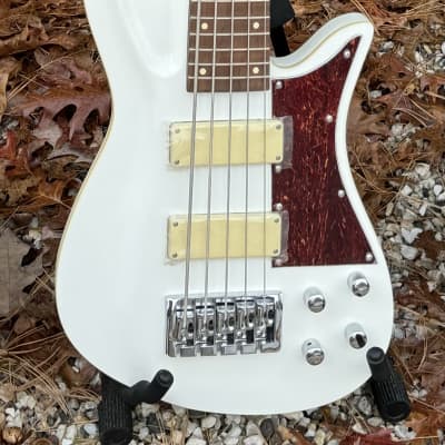 Waterstone Sam Hill 2-string bass 2022 Matte Black | Reverb