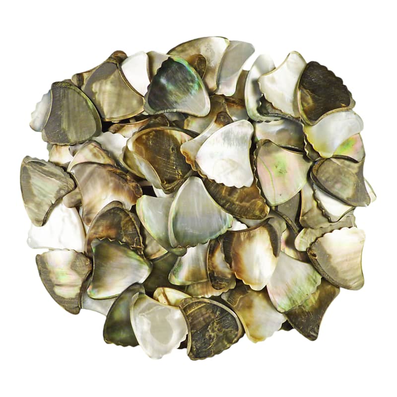 Black Abalone Shell Guitar Pick - Shark Fin Shape - Handmade | Reverb