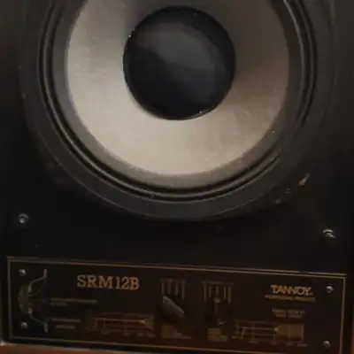 Tannoy SRM12B Speaker Monitor | Reverb