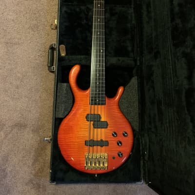Pedulla Pentabuzz 5 String Fretless Bass | Reverb