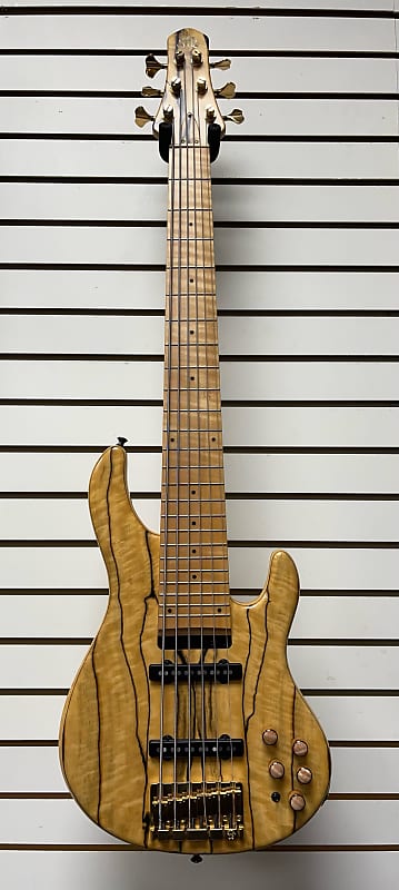 STR 6-String Bass LS Series with hardcase | Reverb