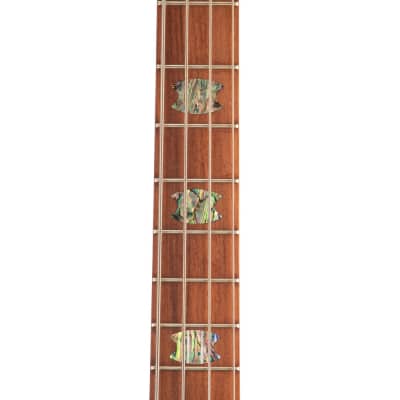 Spector X Series USA Custom NS-4X Bass Guitar - Ale's Inferno | Reverb