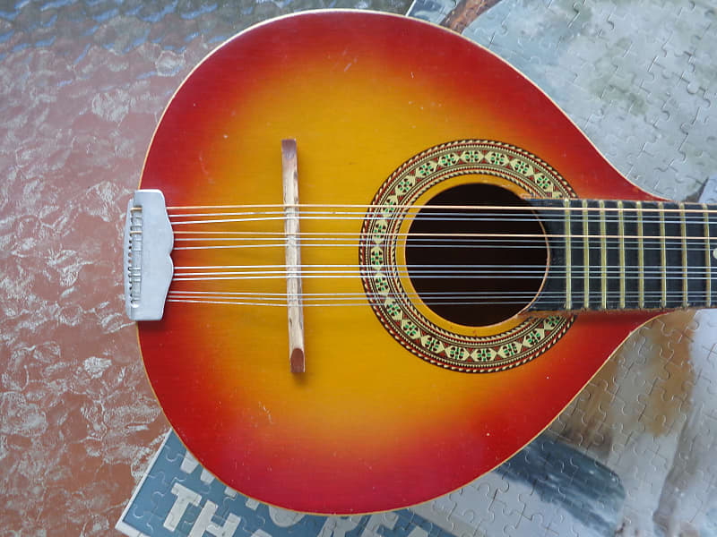 Vintage 12 String Mandolin - Mandriola / Trichord | Reverb