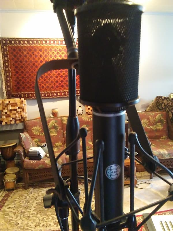 CALREC Soundfield Mk IV "3-D" Condenser Microphone | Reverb
